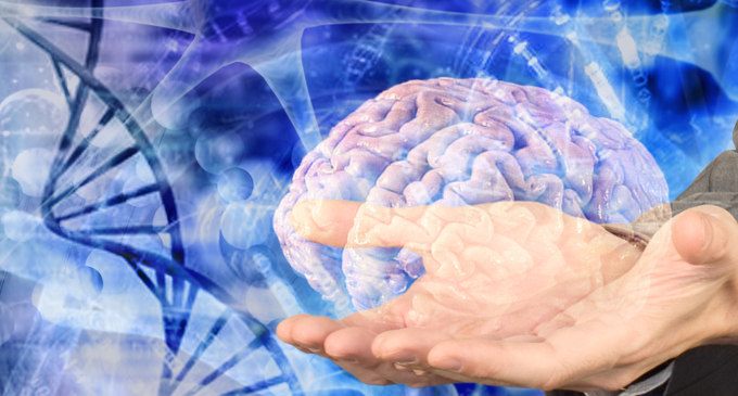 Una tecnica optogenetica per modificare i circuiti cerebrali e i ...