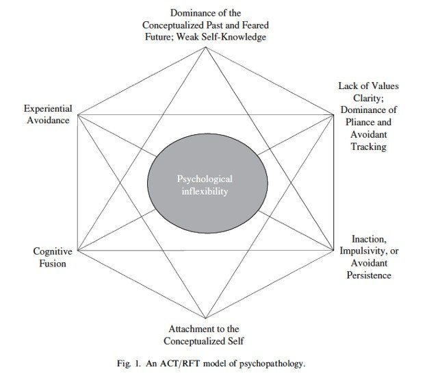 ACT – Acceptance and Commitment Therapy: la terapia tra accettazione e ...