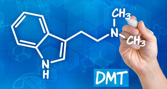 Triptamine e DMT: meccanismi d'azione, effetti collaterali e stato legale