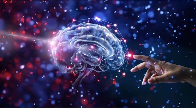 Neuroscienze: dalle principali branche alle attuali tecniche di ...