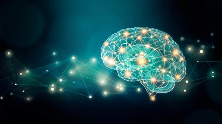 Neuroscienze - Lo studio scientifico del sistema nervoso - State of Mind