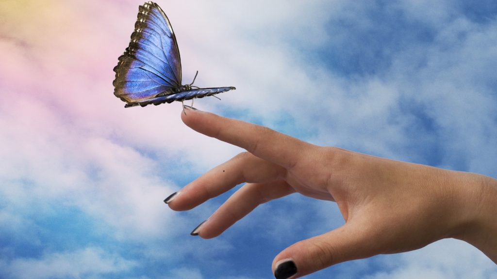 Individui altamente sensibili: chi sono e cosa li caratterizza - Psicologia